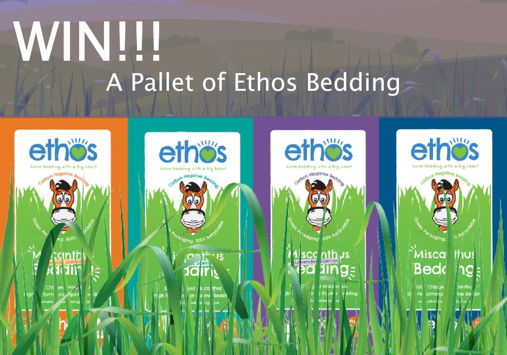 Win a pallet of Ethos bedding